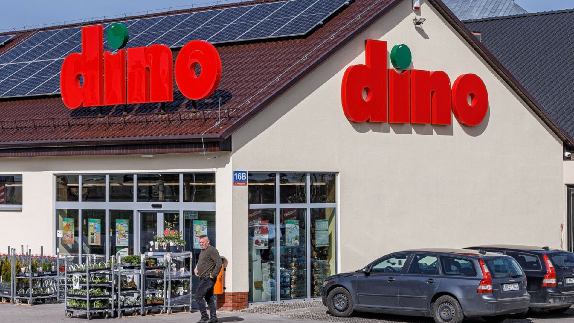 Dino z promocją dla działkowiczów. Duży basen nadmuchiwany za mniej niż ...