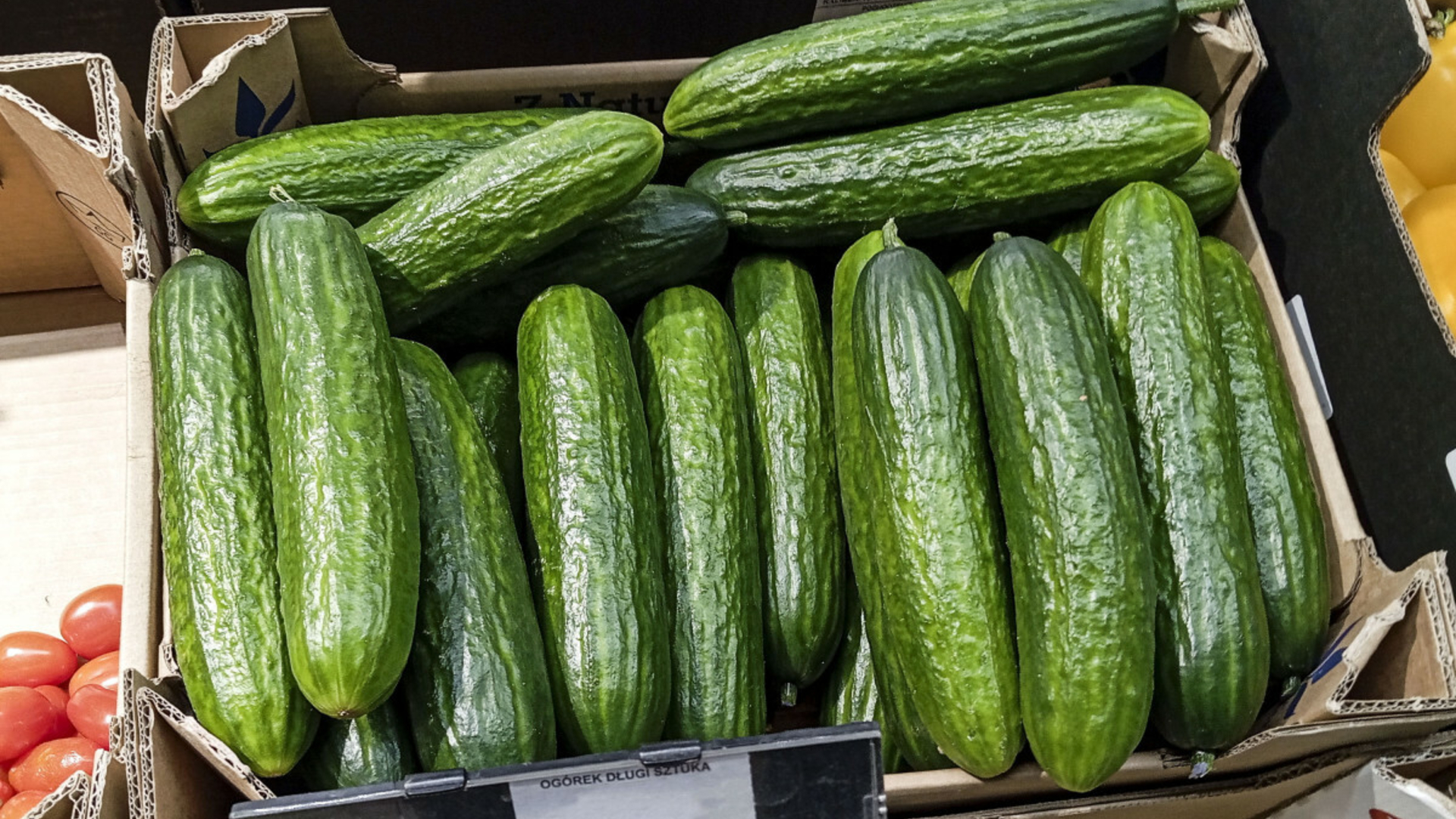 Skąd pochodzą ogórki dostępne w sklepach? Zaskakujące wyniki kontroli ...