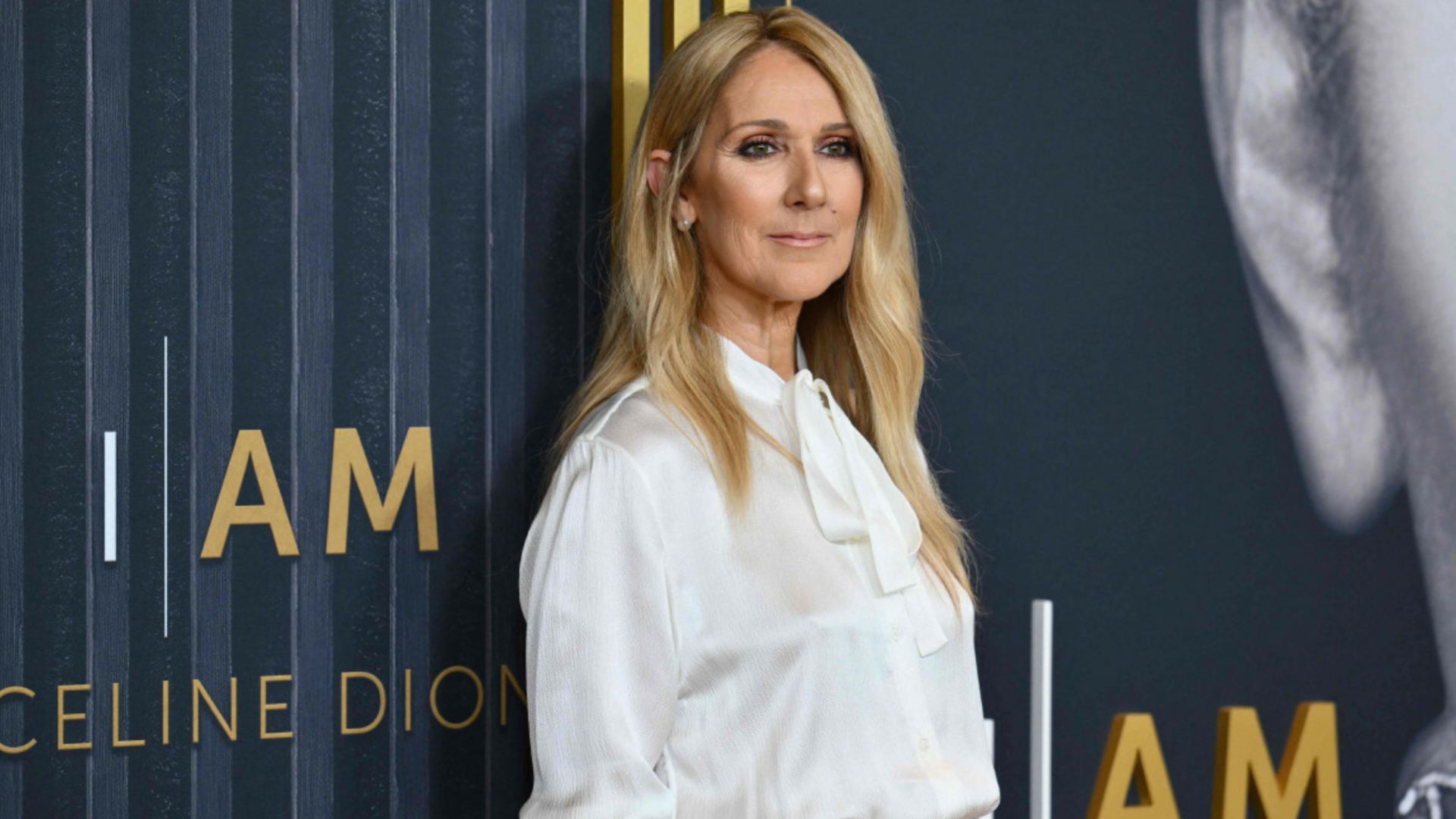 Celine Dion w poruszającym wyznaniu. "Żyję z tym od 17 lat ...