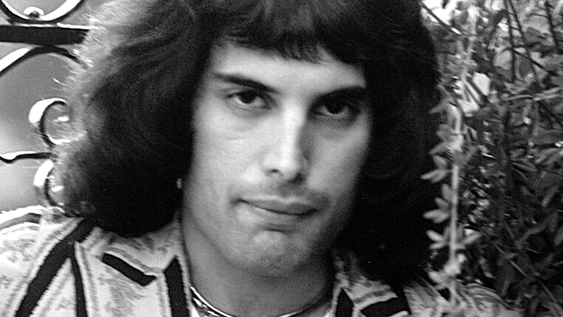 Córka Freddiego Mercury'ego odnaleziona po latach? "Łączyła nas bardzo ...