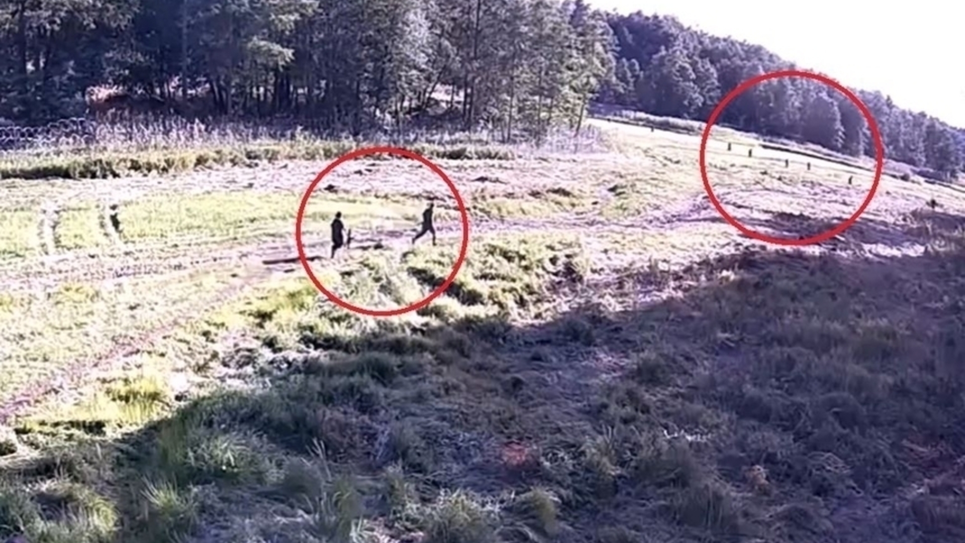Alarm na granicy z Białorusią. Wtargnęli na teren Polski - Wiadomości ...