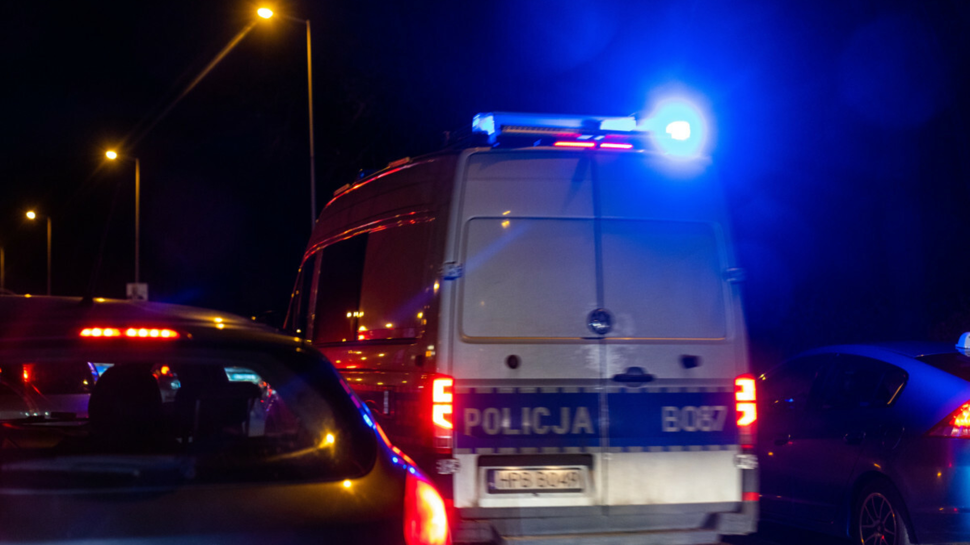 Napad na bank w woj. łódzkim. Policja z psami tropiącymi poszukuje ...