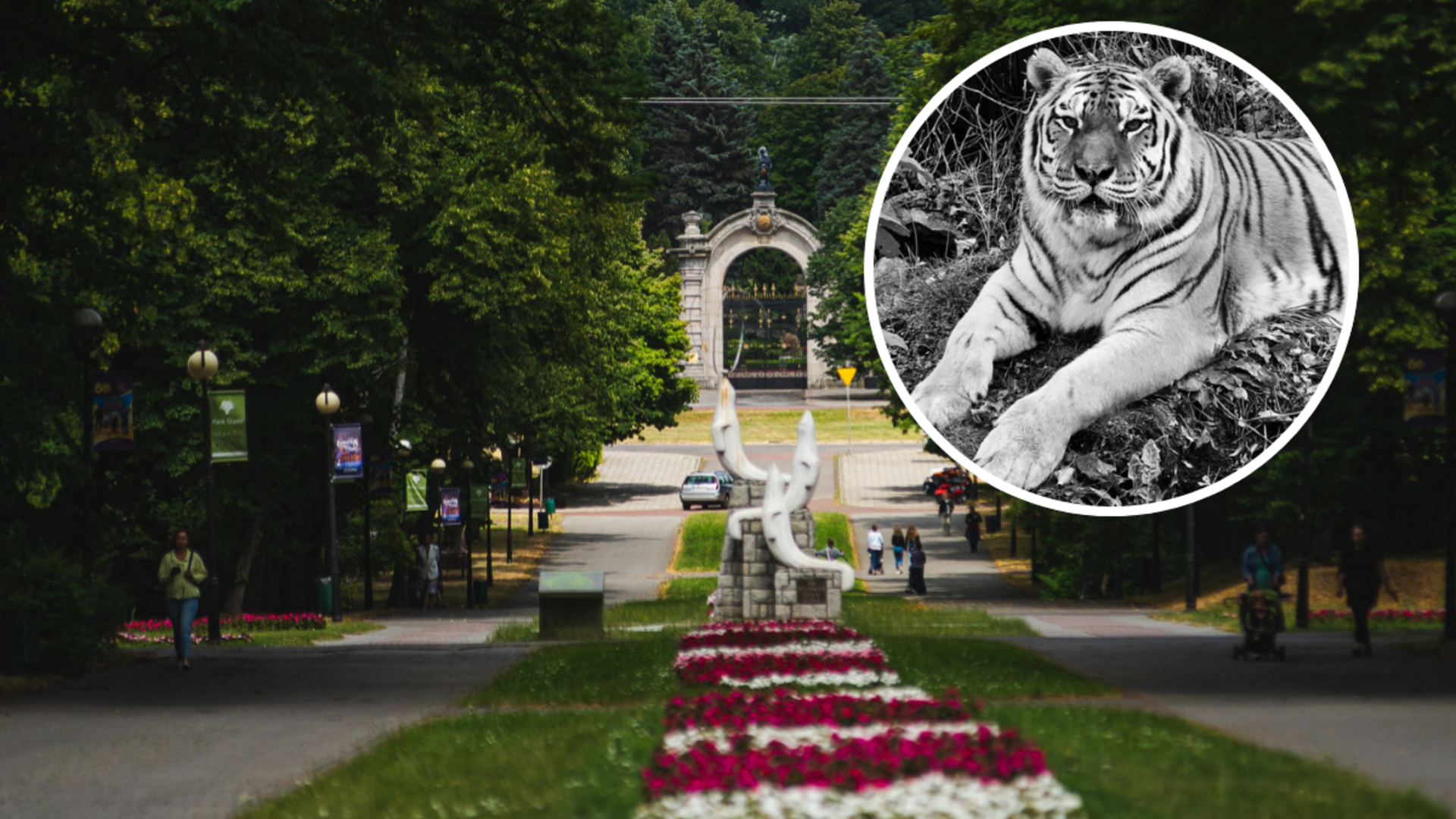 Nie żyje królowa Saga. „Symbol siły, determinacji i opiekuńczości ...