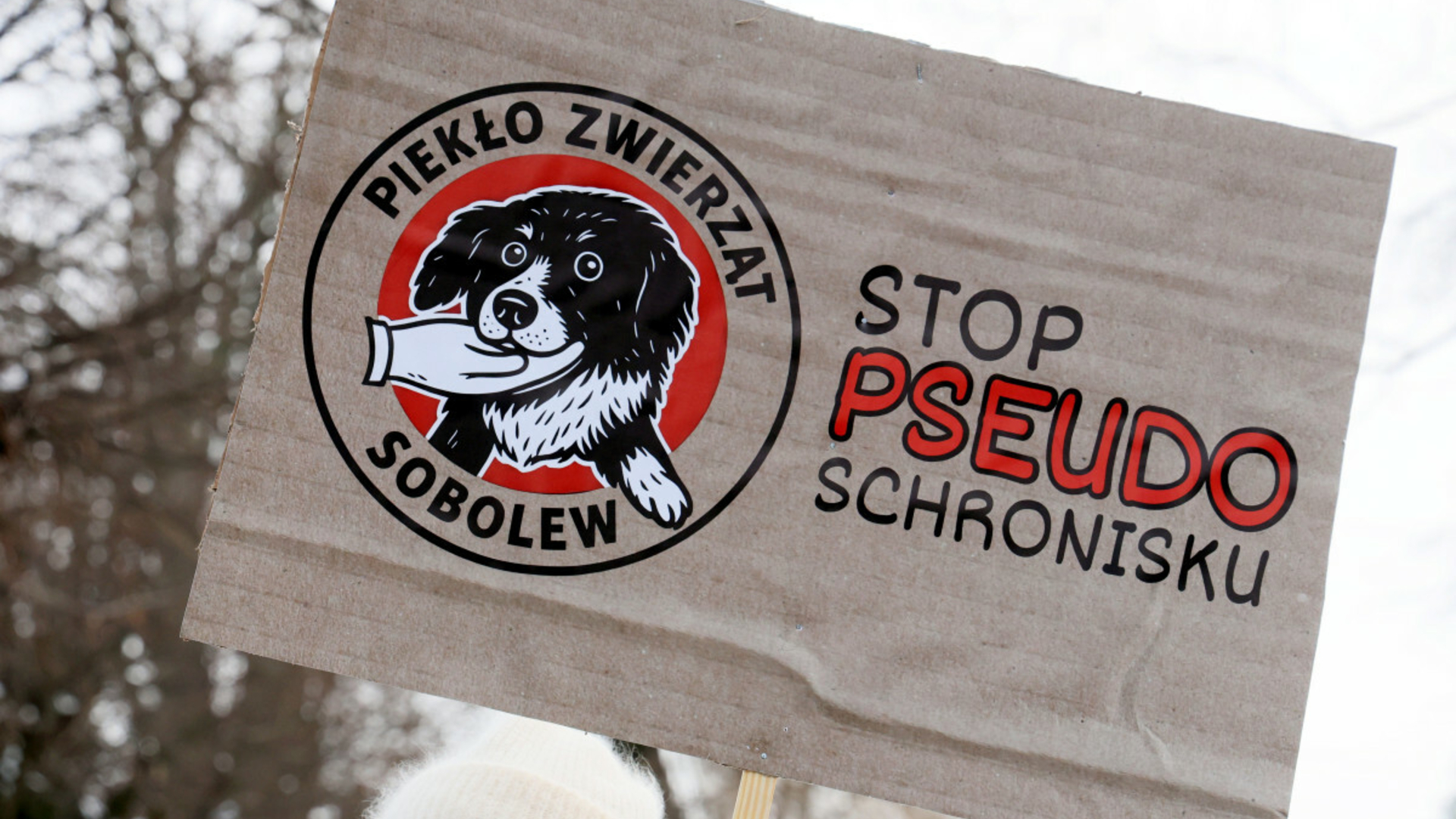 NIK wchodzi do Sobolewa. Prześwietlą zamknięte schronisko "Happy Dog ...