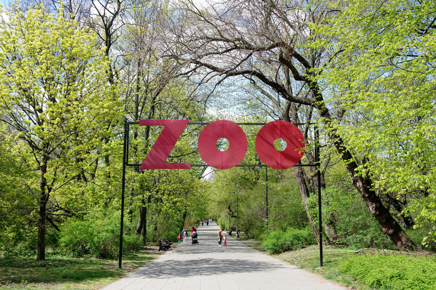 Wielka radość w warszawskim zoo. "Rozpoczynamy nowy rozdział w historii ...