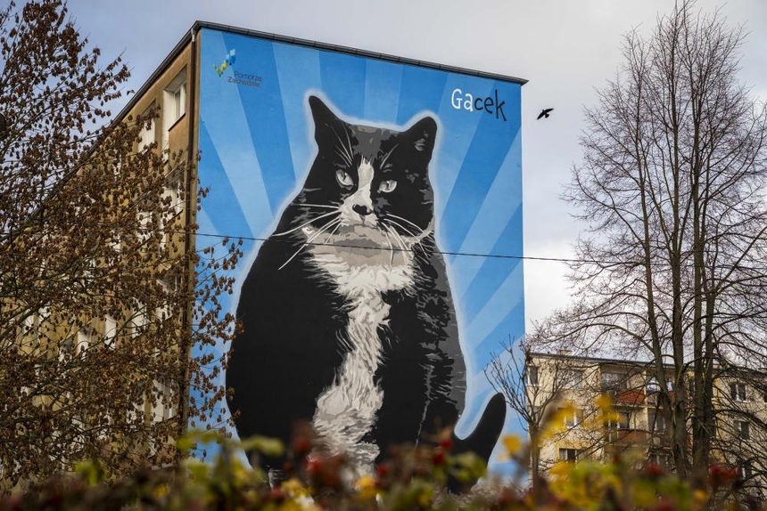 O kocie Gacku słyszał cały świat. Odsłonięto nowy mural. "Jesteś wielki ...