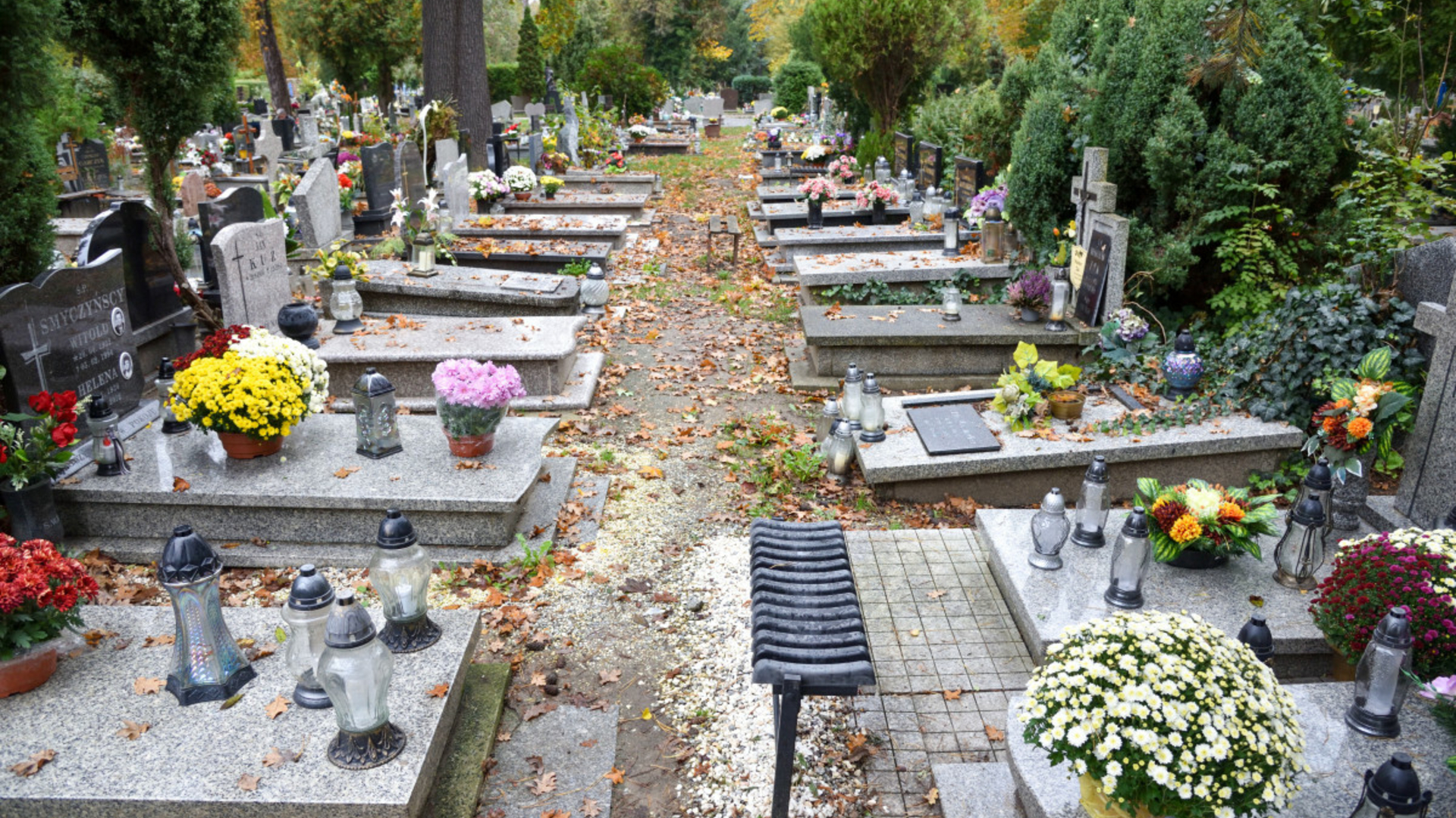 Cmentarze toną w śmieciach po Wszystkich Świętych. To "bardzo szkodliwe ...