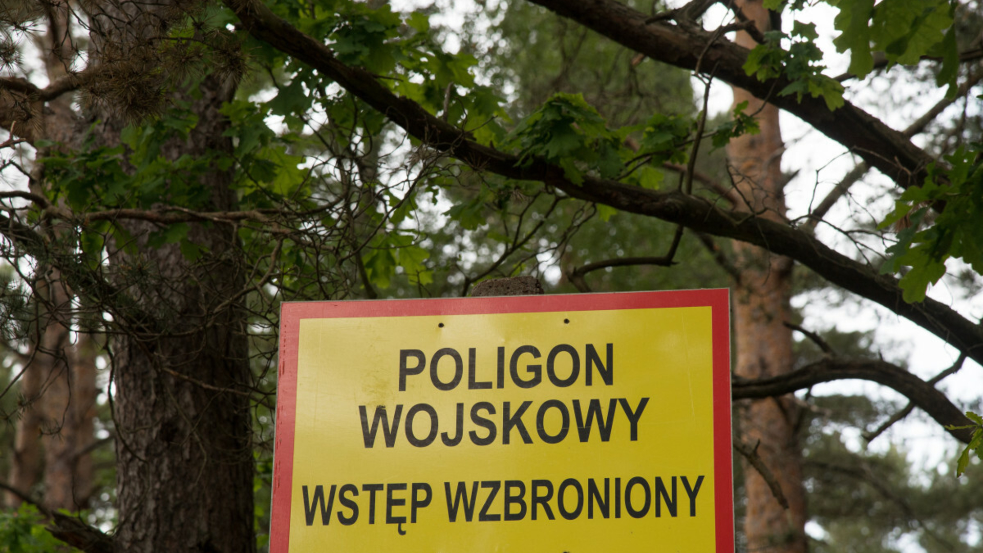 Tragedia na poligonie we Wrocławiu. Nie żyje żołnierz WOT. "Próbowali ...
