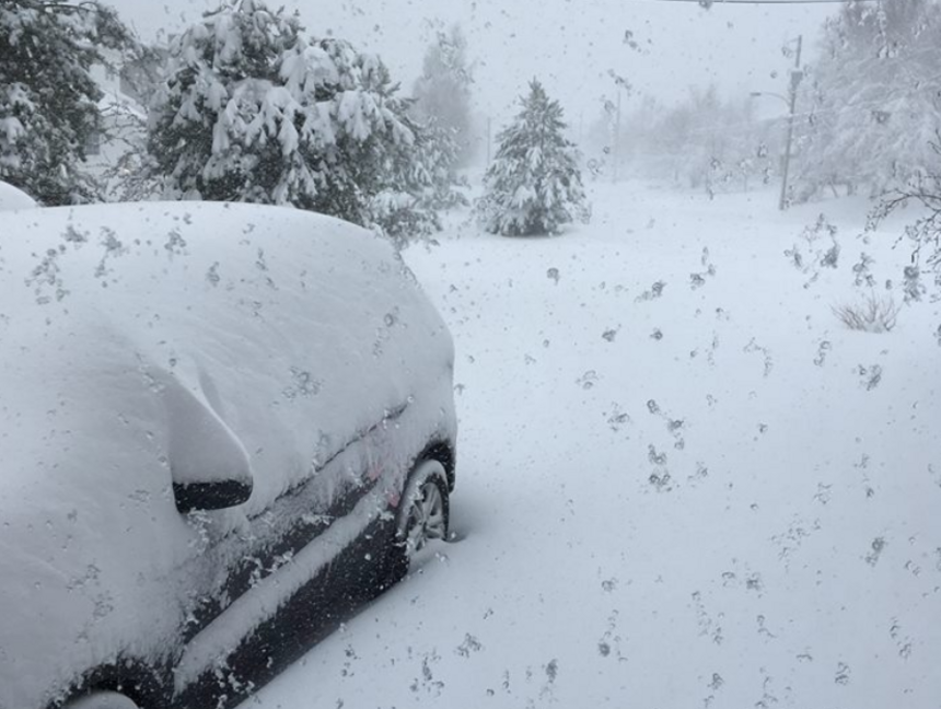 Kanada. Nowa Funlandia. 36 centymetrów śniegu w maju - Wiadomości Radio ZET