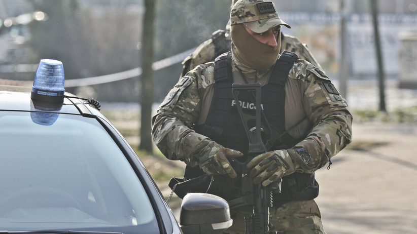 Były wicepremier zatrzymany przez CBŚP. Na jego posesji znaleziono 11 ...