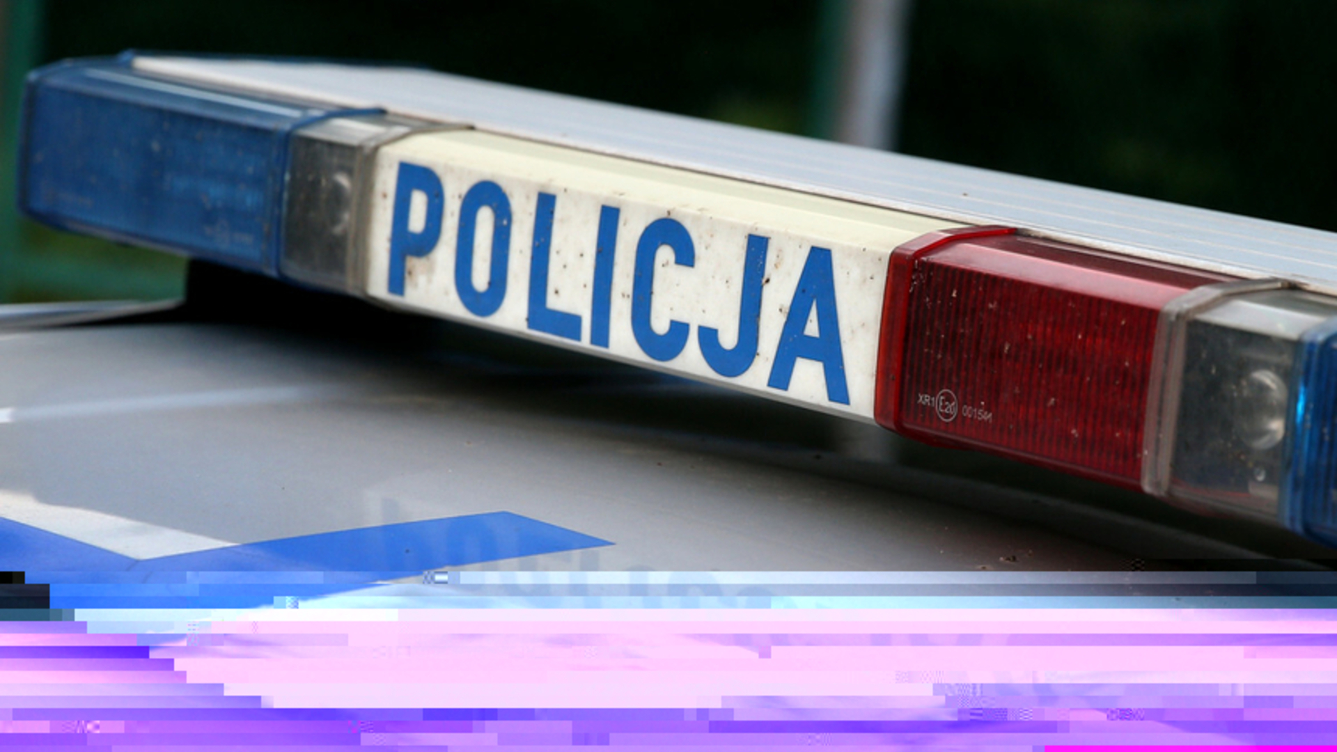 Ciała ojca i 3-letniej córki znalezione w lesie pod Biłograjem ...