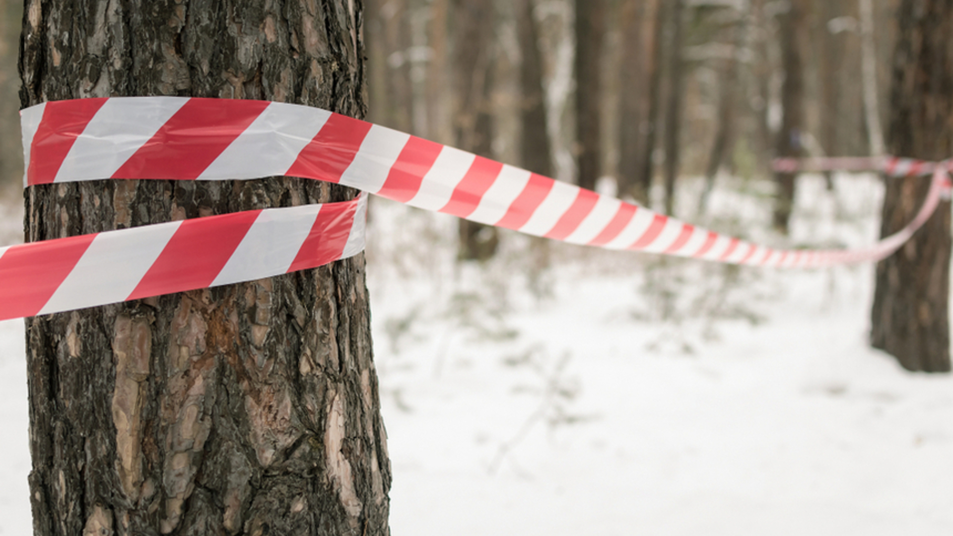 Ciało noworodka znalezione w worku na śmieci. Matka i dziadek oskarżeni ...